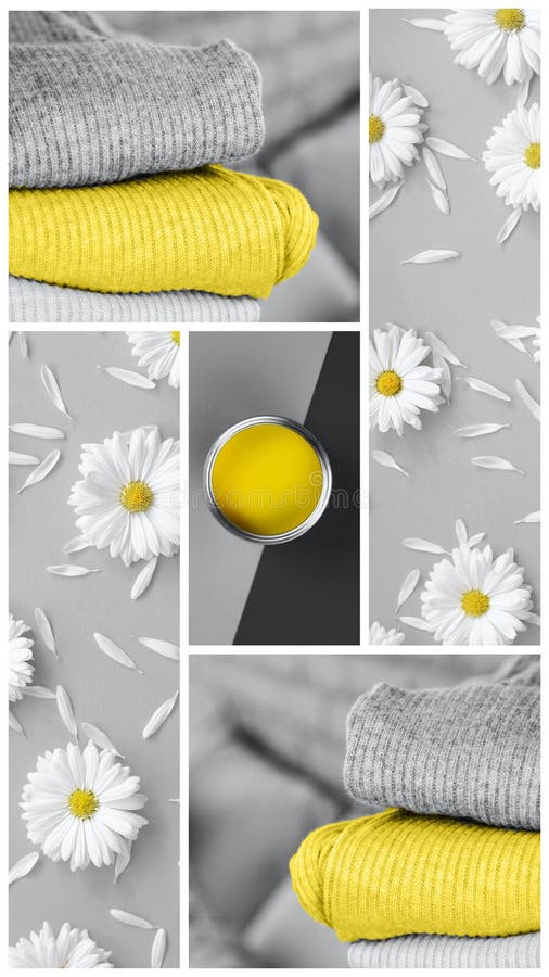 Collage with Trendy Colors 2021. Lifestyle Illuminating Yellow and ...