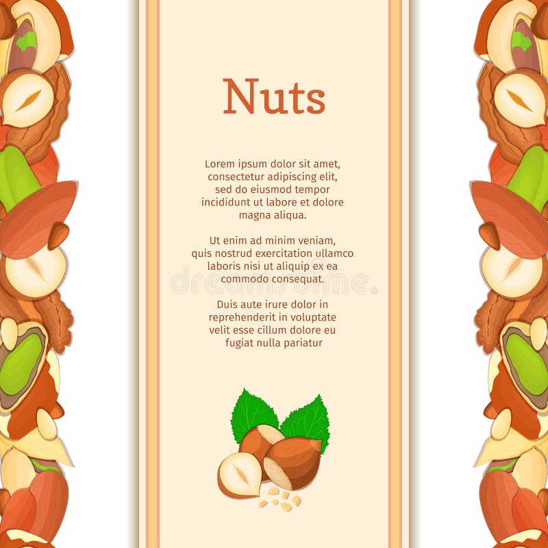 Vertical Colored Frame Composed of Different Nuts Brazil, Cashew ...