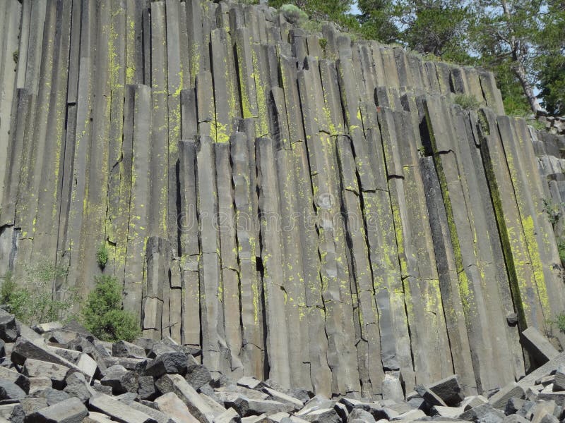 Vertical Columnar Basalt at Devil S Postpone National Monument Stock ...