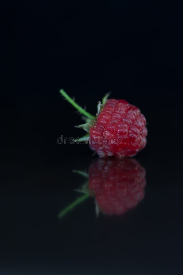 Vertical Complete Raspberry Stock Photo - Image of fruit, color: 101736278