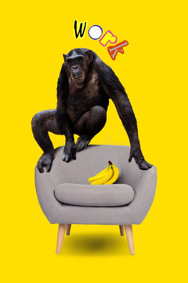 Vertical Composite Artwork Collage Image Picture of Chimp Sit Chair ...