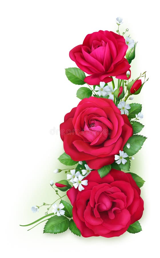 Vertical Composition of Red Roses. Stock Photo - Image of gift, flower ...
