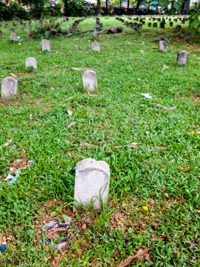 Vertical Composition of Tombs on the Grass Stock Image - Image of ...