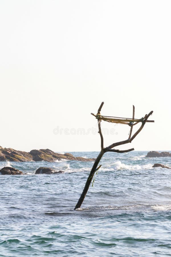 Vertical of a Crooked Broken Tree in the Sea. Stock Photo - Image of ...