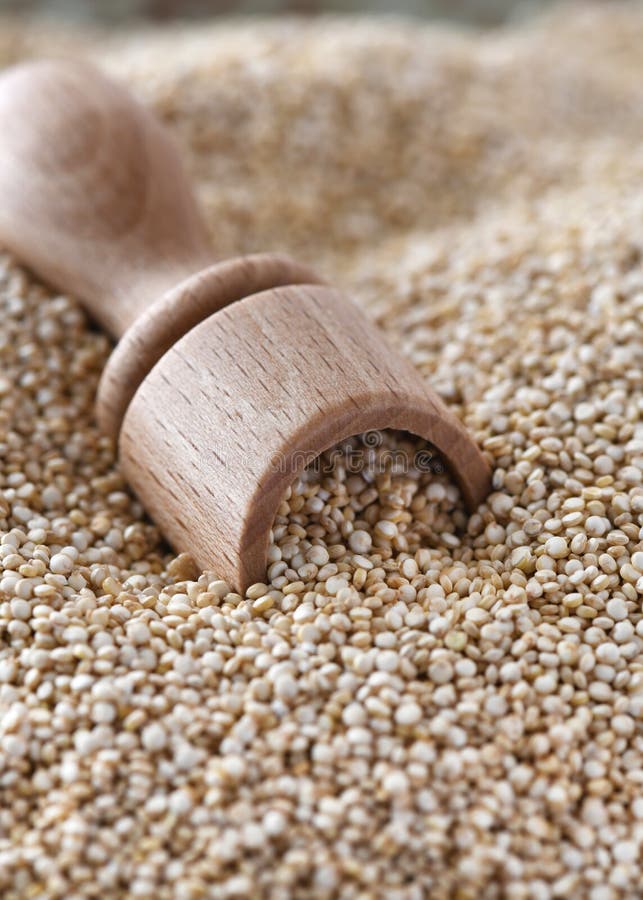 Quinoa cruda imagen de archivo. Imagen de dieta, gérmenes - 29401881