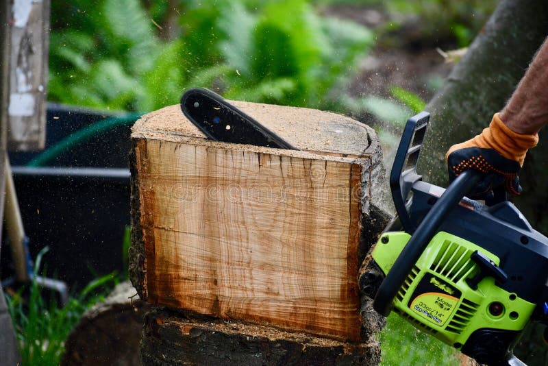 A Vertical Cut with a Chainsaw on a Piece of Cherry Wood. Stock Image ...