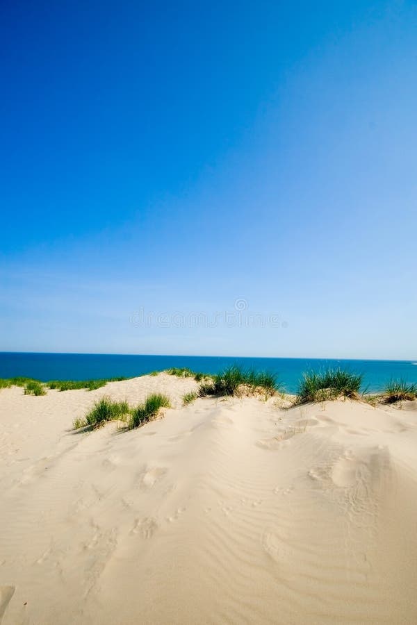 Vertical De La Playa De La Duna Imagen de archivo - Imagen de amarillo ...