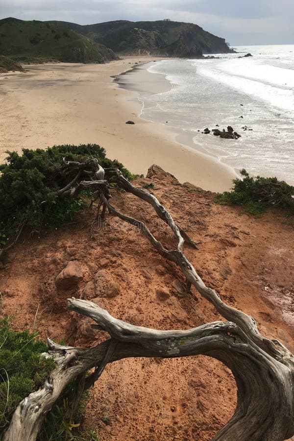 Vertical De Una Playa En La Zona Del Algarve De Portugal Foto de ...