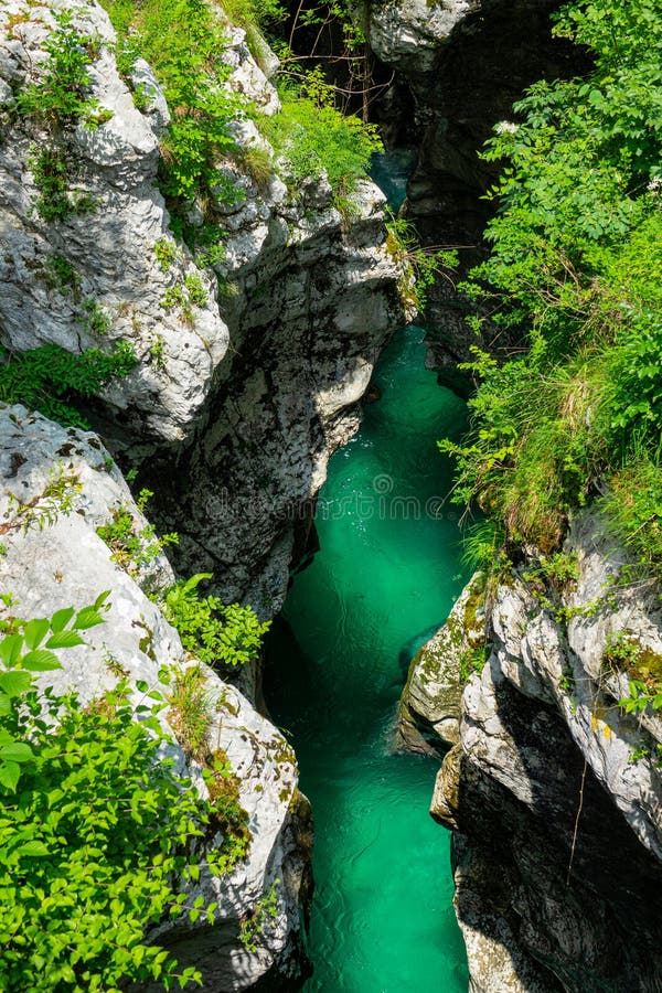 VERTICAL: Deep Emerald Colored River Flows Along a Gorge in Scenic Soca ...