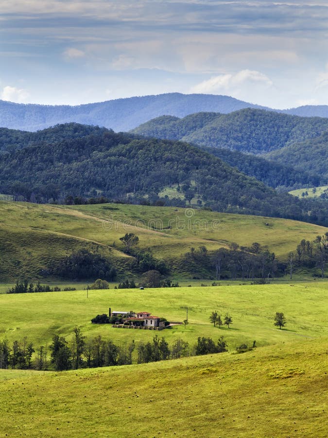 Vertical Del Estado De Btops Cobark Imagen de archivo - Imagen de ...