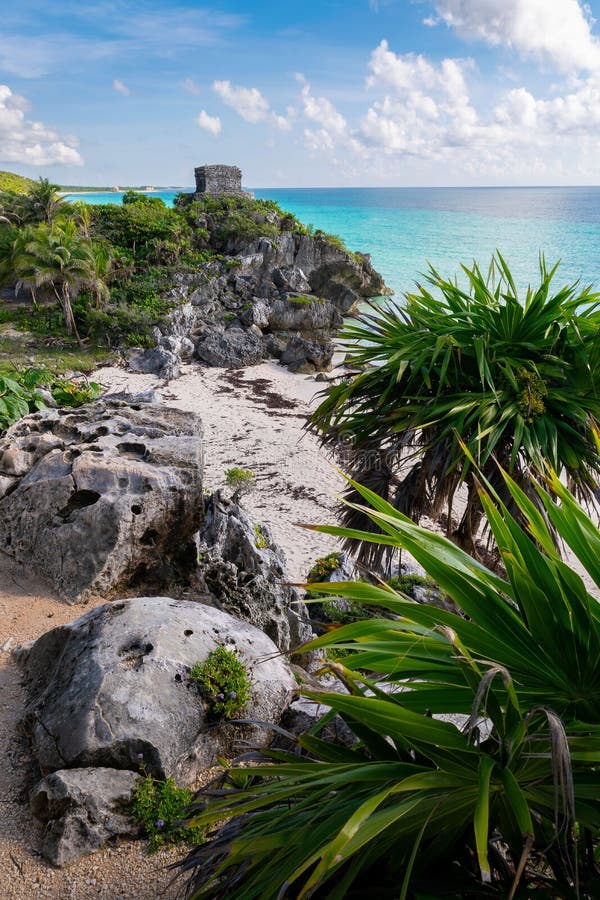 Vertical Distant View of the Historical Tulum Archaeological Zone Ruins ...