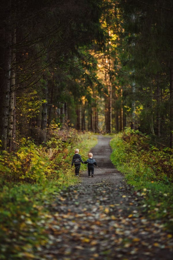 Vertical Distant View of Two Kids Walking on a Long Path in a Forest ...