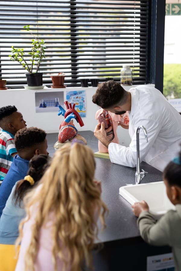 Vertical of Diverse Elementary School Pupils and Male Teacher Studying ...