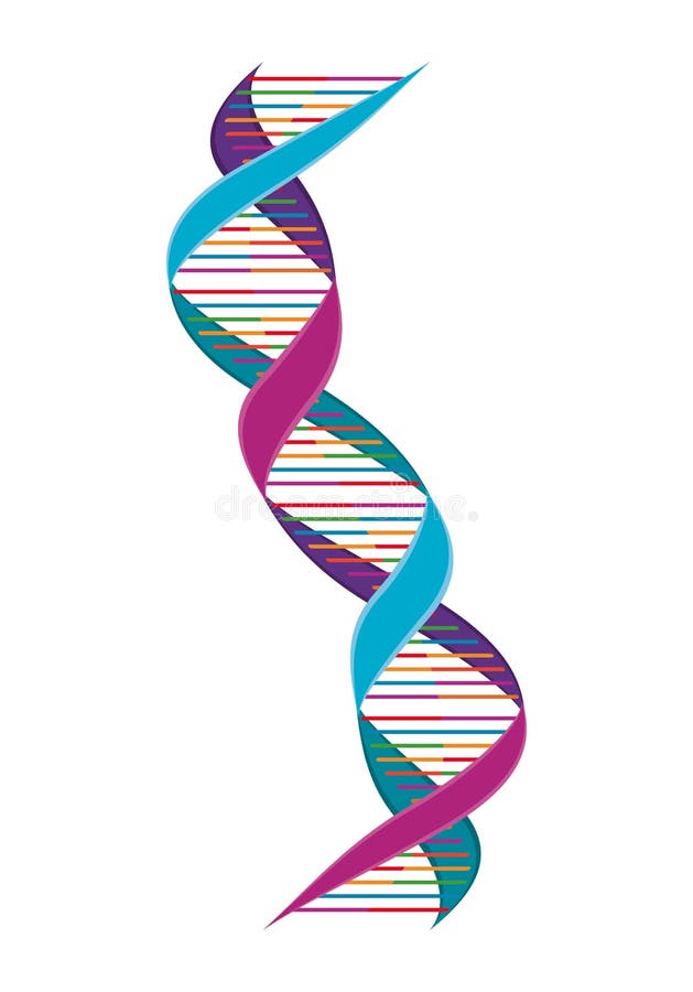 Vertical Dna Chain Science Colorful Icon Stock Vector - Illustration of ...
