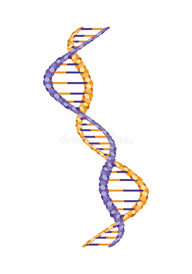 Vertical Dna Chain Science Icon Stock Vector - Illustration of ...