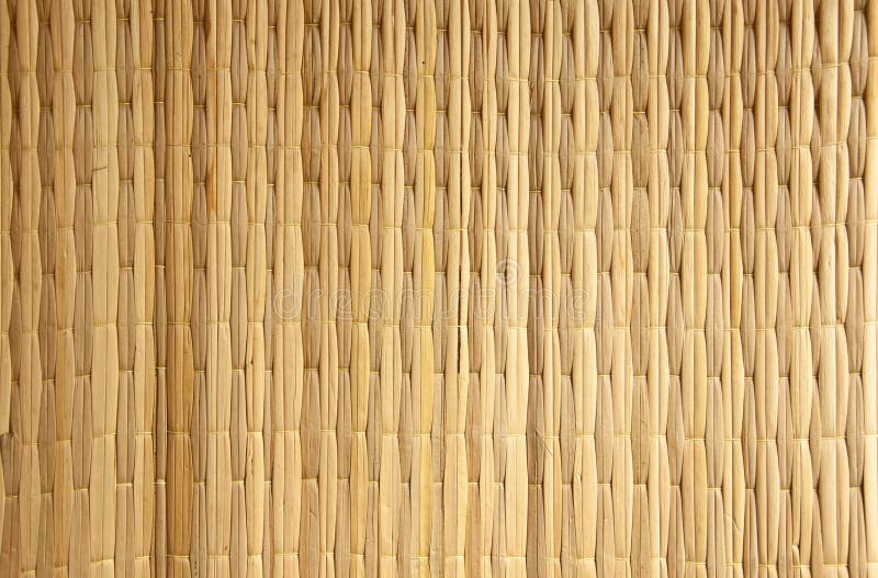 Vertical Do Fundo Natural Do Papiro Foto de Stock - Imagem de fundos ...