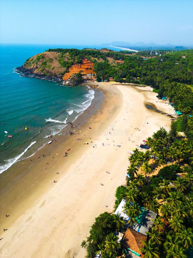Vertical Drone Shot of a Beach Covered with Lush Greenery Stock Photo ...