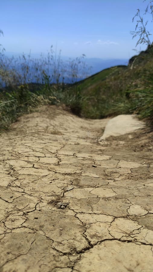 Vertical, Dry Cracked Path Ground in Mountains. Grass on Background ...