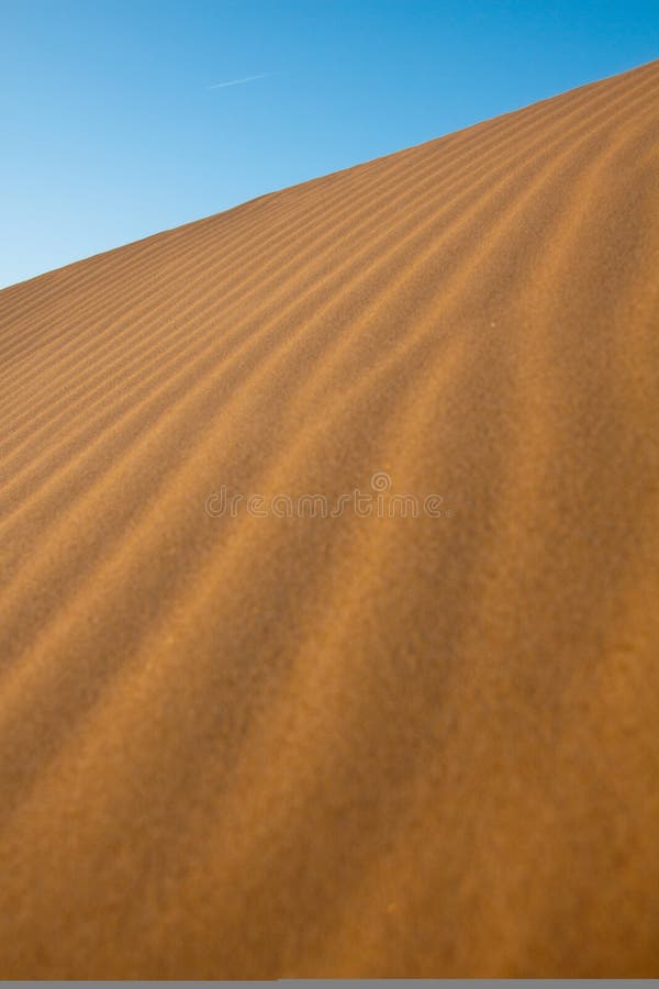 Vertical dune with ripples stock image. Image of dessert - 23368223