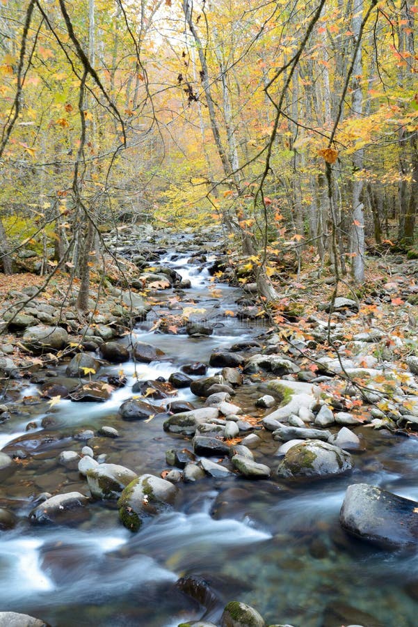 Vertical - Fall Colors Surround a Small White Water Stream in Fall ...