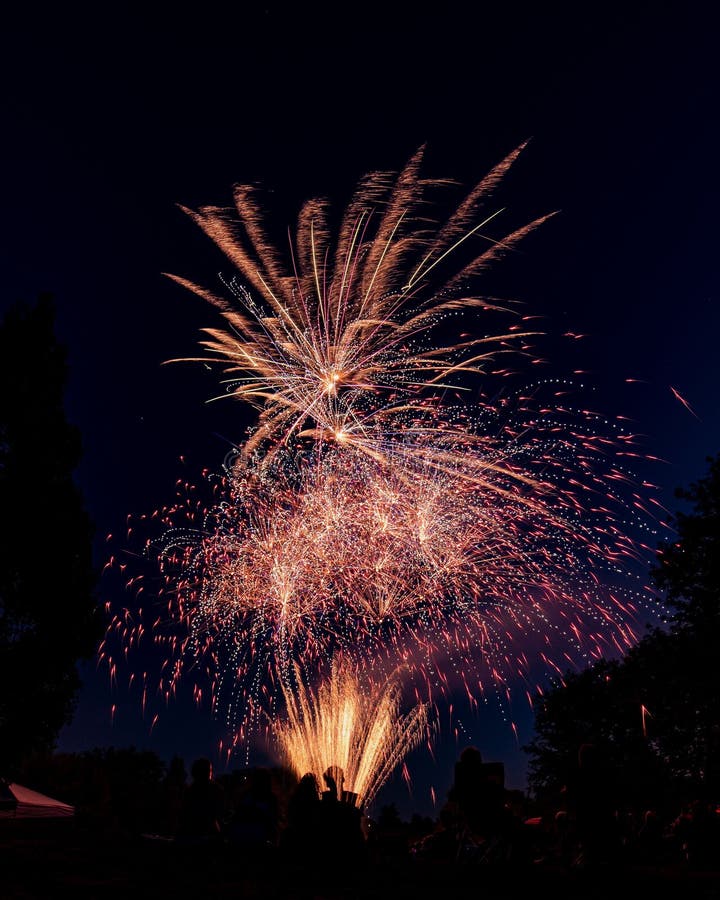 Vertical Firework Undershot Bursting Sparks in the Night Sky Stock ...