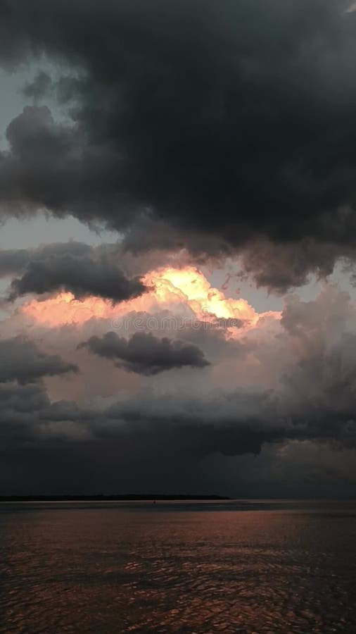 Vertical Footage of Water Floating with Grasses, Trees and Buildings ...