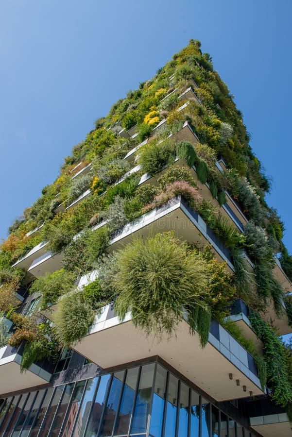 Vertical forest editorial stock photo. Image of lombardy - 127544893