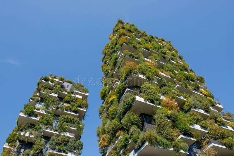 Vertical forest editorial photography. Image of estate - 127546717