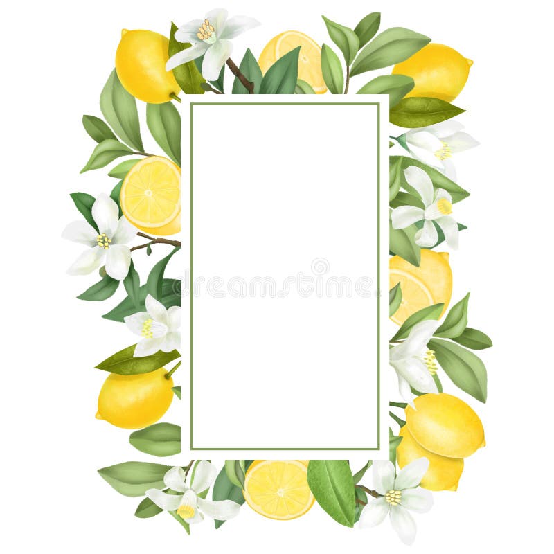 Vertical Frame of Hand Drawn Blooming Lemon Tree Branches, Flowers ...