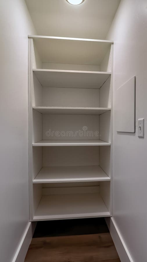 Vertical Frame Walk in Closet or Pantry with Empty Wall Shelves Seen ...