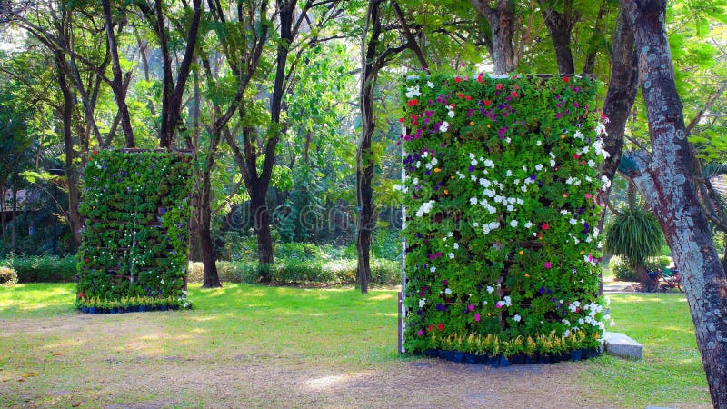 Vertical Garden stock photo. Image of colorful, background - 23125648