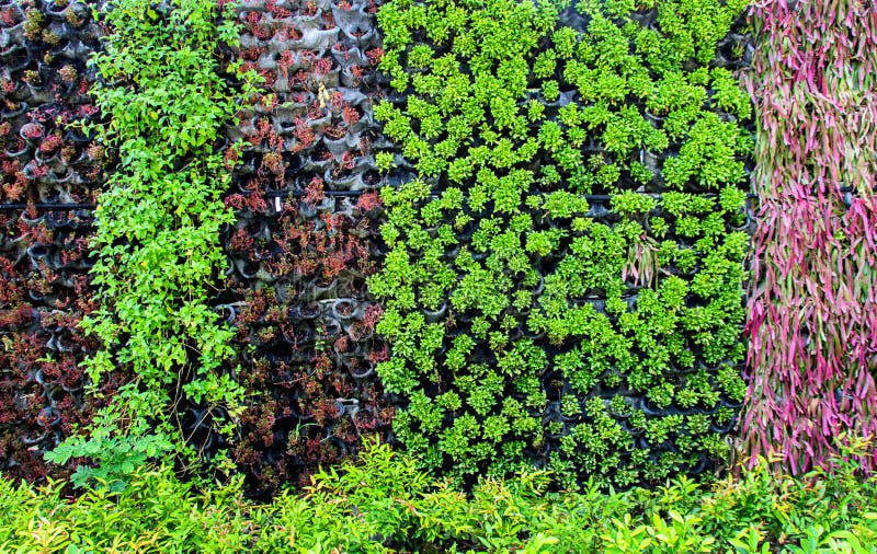 Vertical garden backdrop stock photo. Image of decoration - 63864388