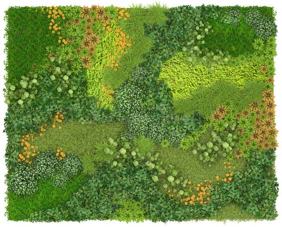 Plants Top View Stock Illustrations – 19,576 Plants Top View Stock ...