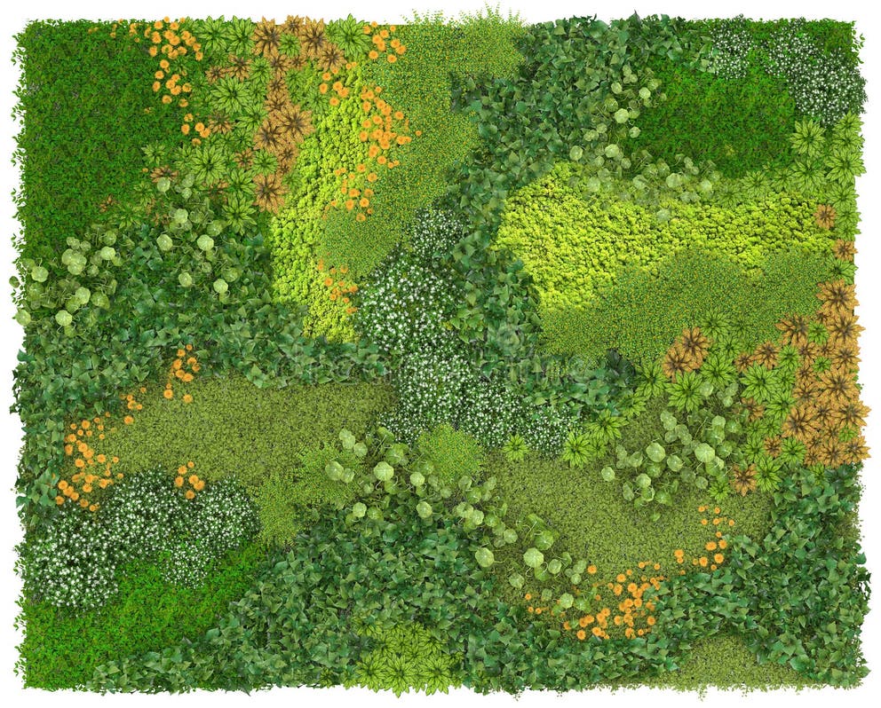 Plan View Flowers Stock Illustrations – 304 Plan View Flowers Stock ...