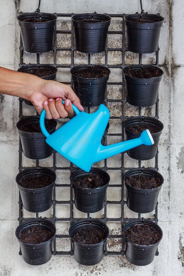 Vertical garden stock photo. Image of vertical, pots - 43792266
