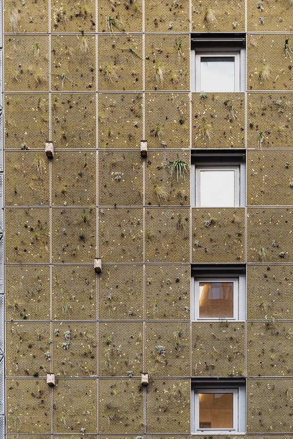 Vertical Garden on a Contemporary Building Exterior Features Small ...