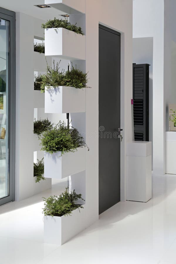 Vertical Garden stock photo. Image of living, architecture - 112293300