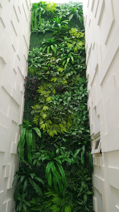 Vertical Garden stock image. Image of flower, architecture - 208960255