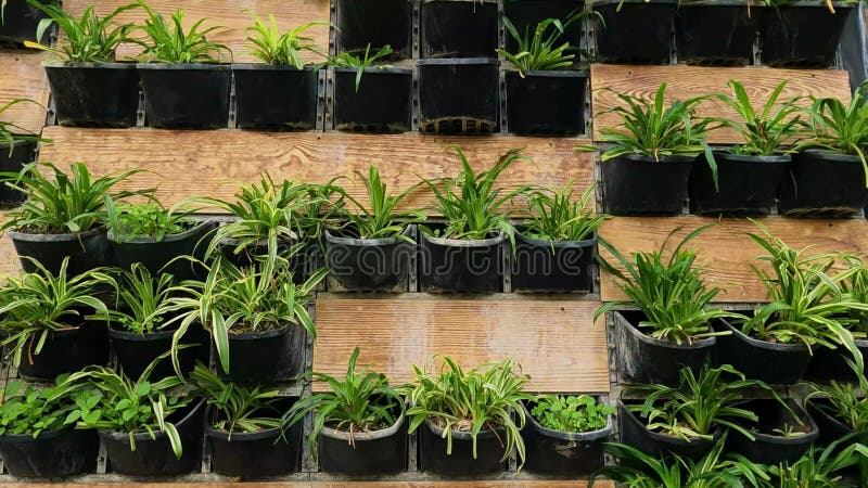 Vertical Garden Evolution with Lush Greenery and Sustainable Design ...