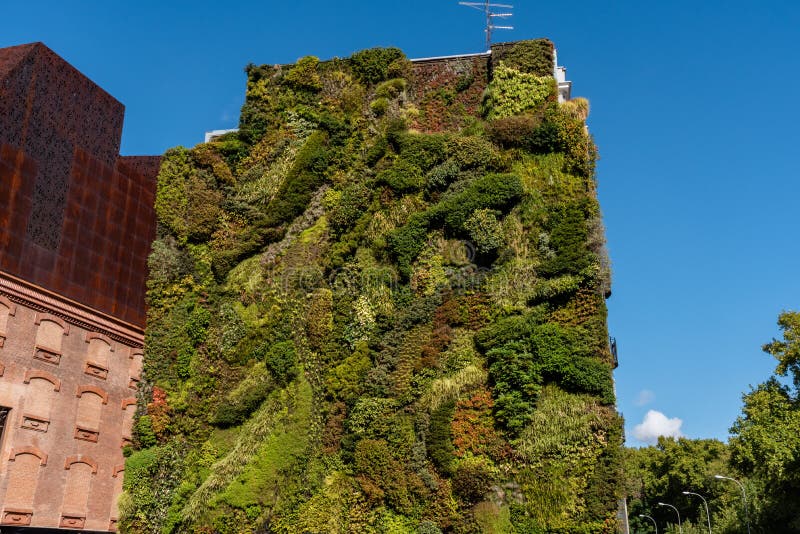 Vertical Garden - Lawn Growing on the Side Wall of a Building in Madrid ...