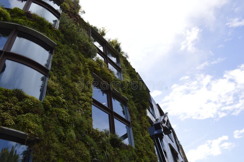 Ecoly Stock Photos - Free & Royalty-Free Stock Photos from Dreamstime