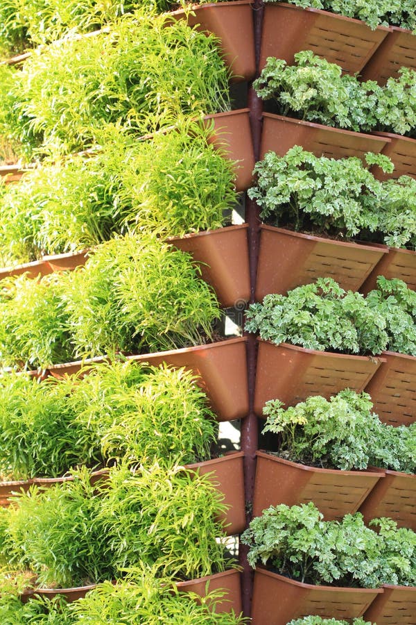 Vertical Green and Wood Garden Landscape and Design Stock Image - Image ...