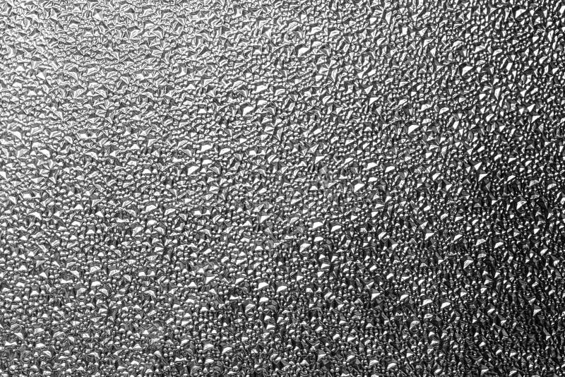 Vertical Glass Plant Texture Background Stock Image - Image of vertical ...