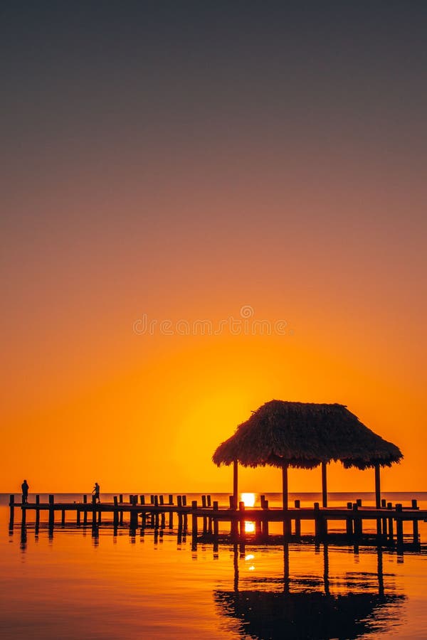 Vertical of a Golden Sunset Over the Ocean with the Silhouette of a ...