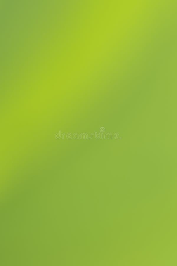 Vertical Gradient Background Light Green Stock Photo - Image of ...