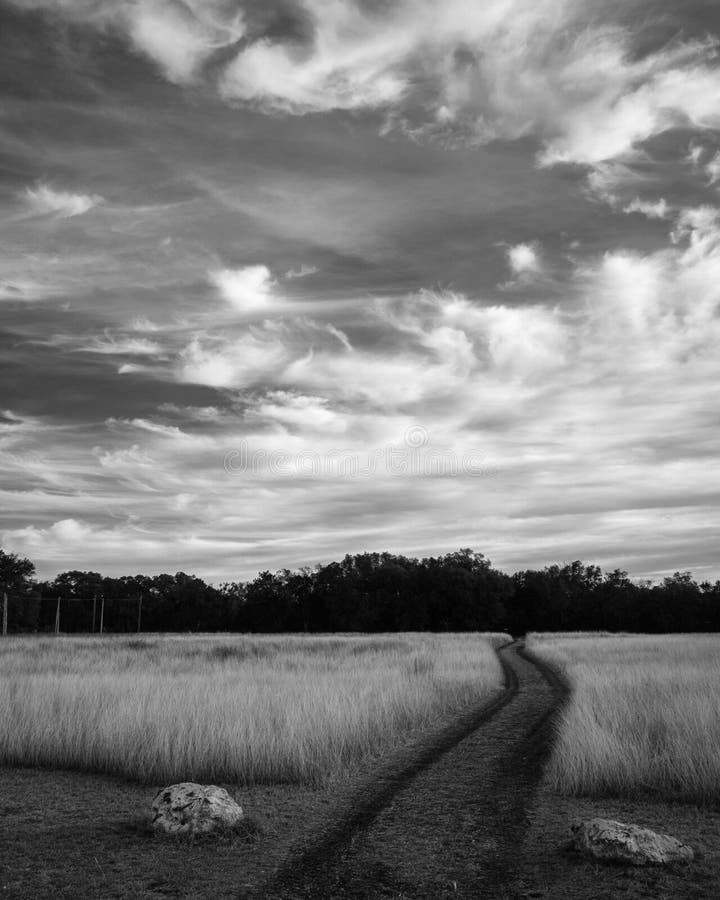 Vertical Gray Scale Shot of a Pathway in a Beautiful Field Stock Photo ...