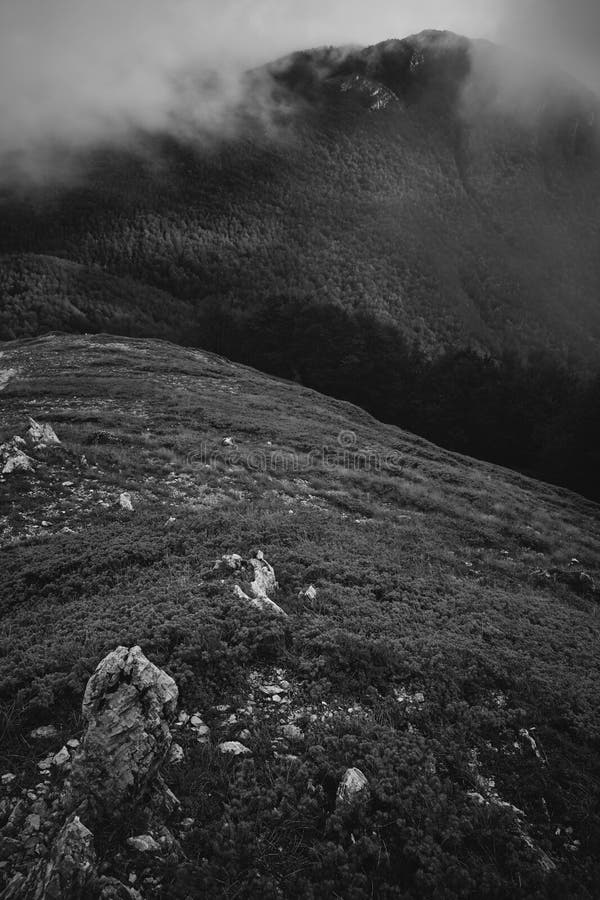 Vertical Grayscale of Cloudy, Forested Mountains with Stones Stock ...