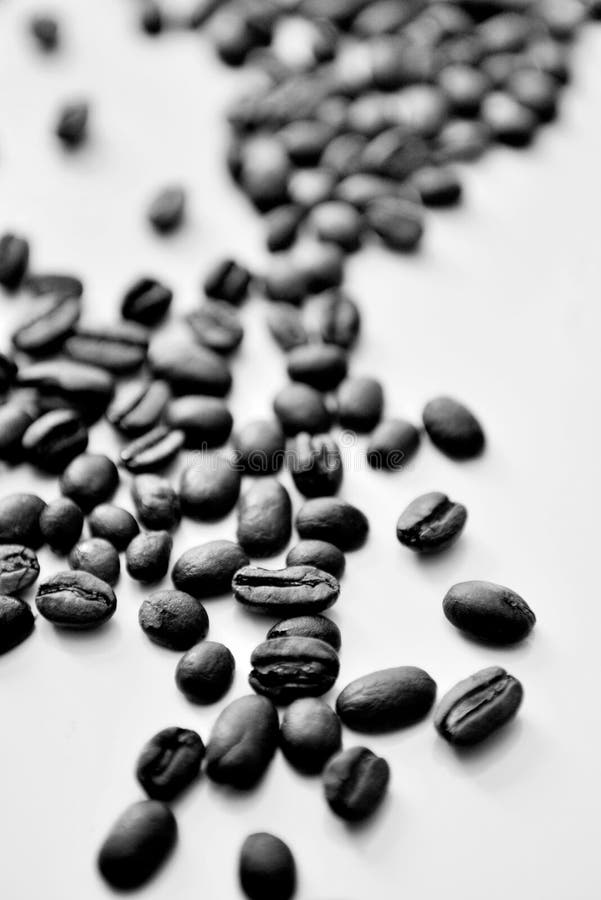 Vertical Grayscale of Coffee Beans Scattered on a White Surface Stock ...