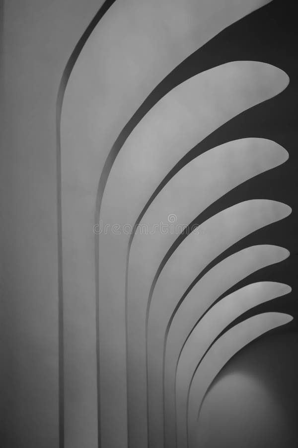 Vertical Grayscale Illustration of a Curved Symmetrical Structure ...