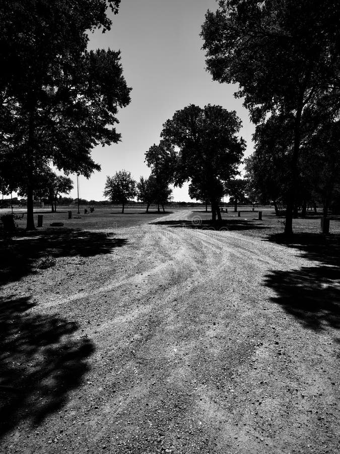 Vertical Grayscale of a Park in Brady with Trees and Dusty Path Stock ...